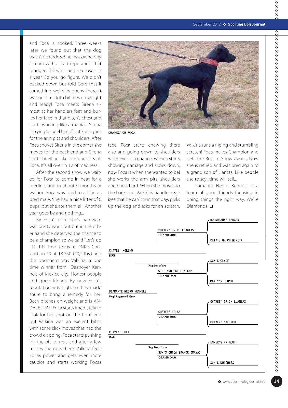 SPORTING DOG NEWS: SPORTING DOG JOURNAL SEPTEMBER/2012