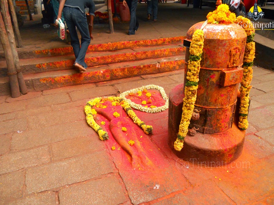 GoTirupati: TIRUMALA DIVYA DARSHAN TOKENS, DIVYA DARSHAN TOKEN COUNTERS