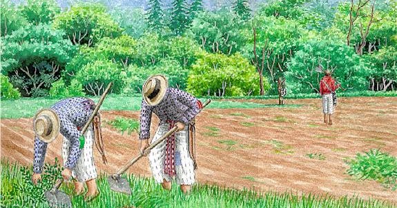 Periodismo sin apellidos : ¿Lucha tu yuca, taíno?