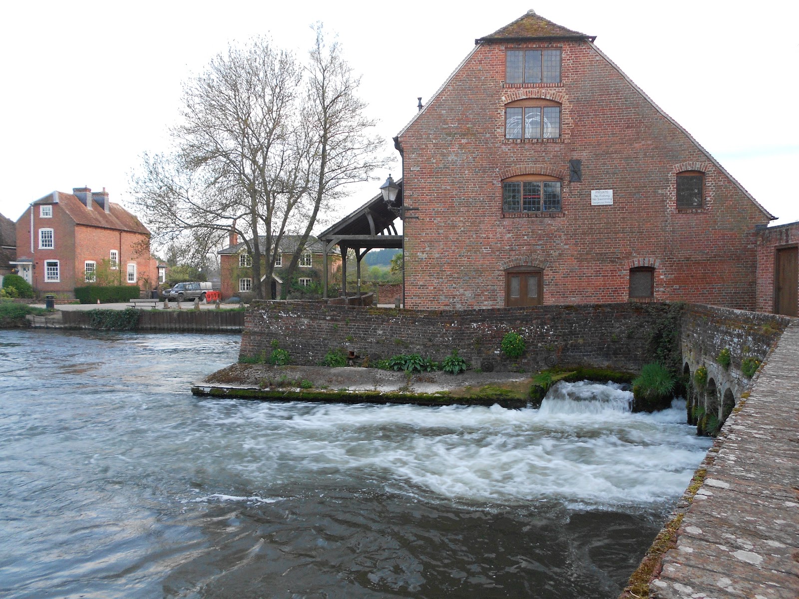 Nature Notes and Observations: Sadlers Mill - Romsey