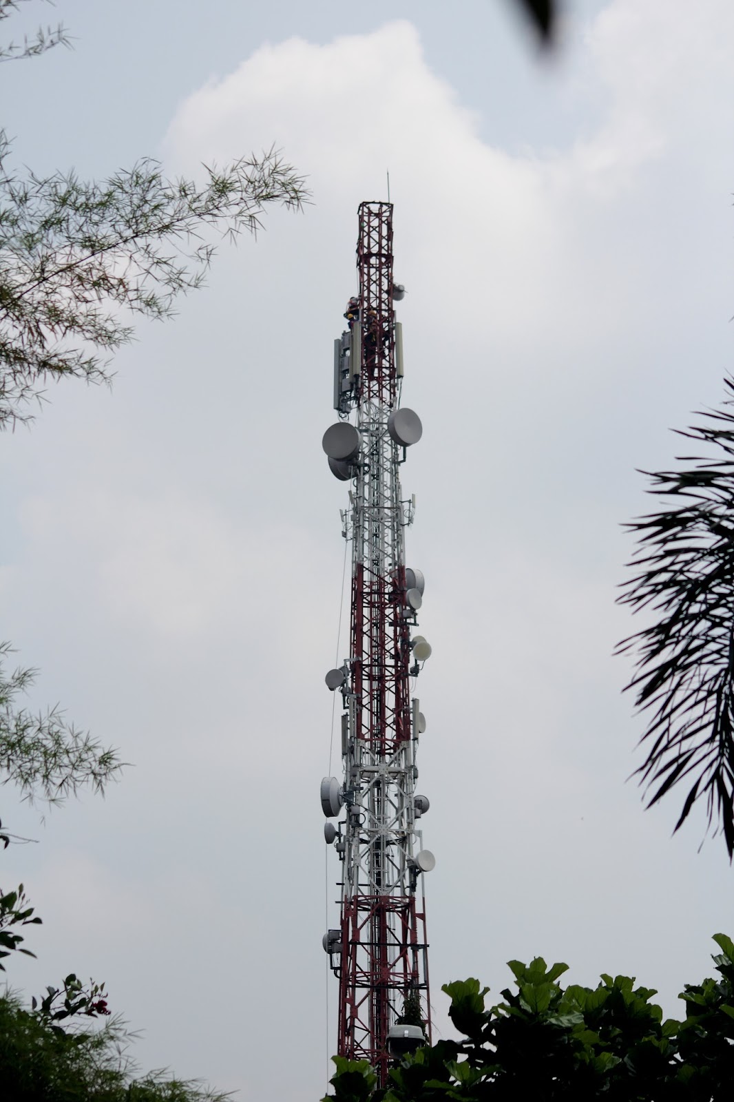 Bekerja Pemasangan Telekomunikasi