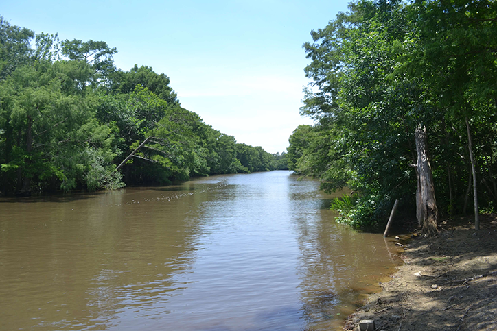 Passport America Site Seers: Rio RV Park at Turtle Bayou, Wallisville ...