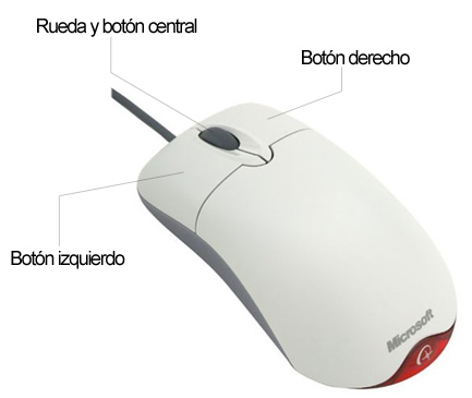 4ºCURSO DE EDUCACIÓN PRIMARIA : EL ORDENADOR Y SUS PARTES