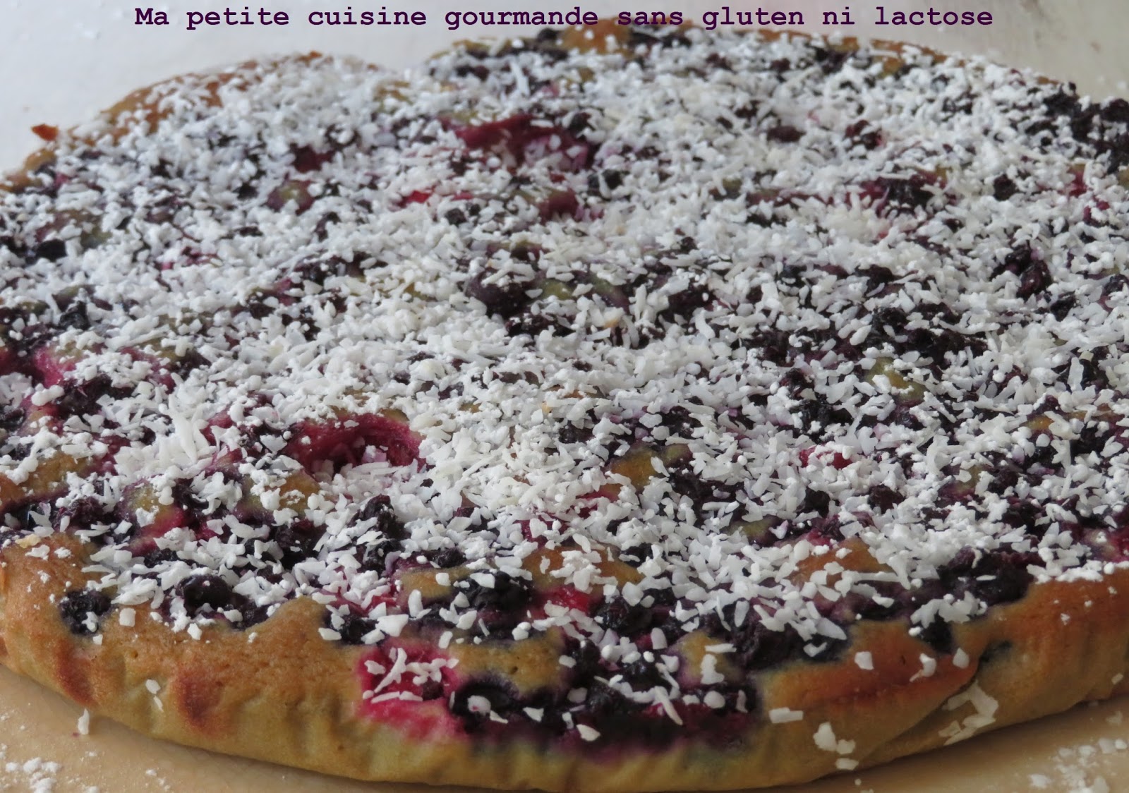 Gâteau aux myrtilles et aux fruits rouges sans gluten ni lactose - Ma ...