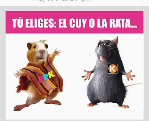 Charlas de café: El cuy o la rata