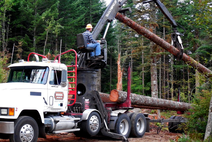 Off-Grid Home Sweet Home: Last Load Of Logs...