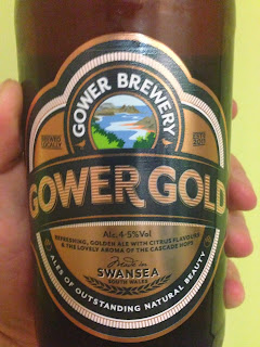 Hans Beers: Gower Gold