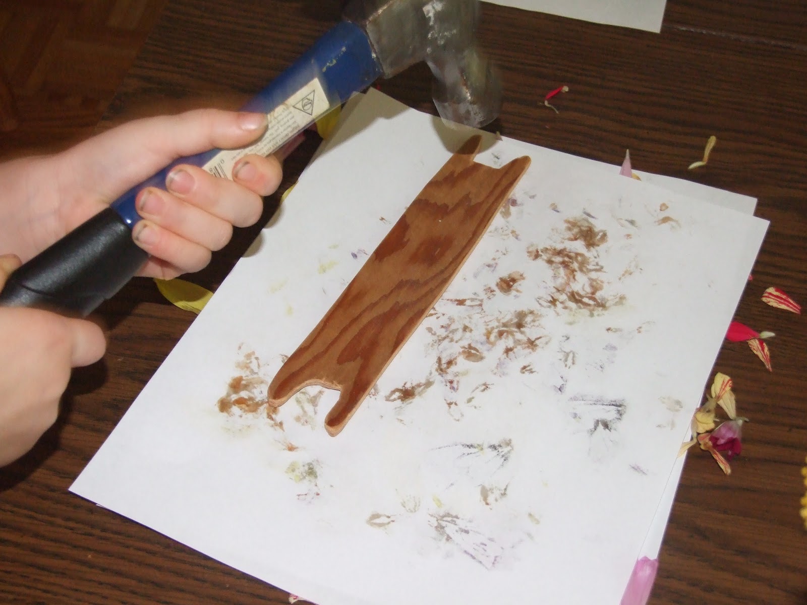 Blissful Moments: Flower Smashing Science