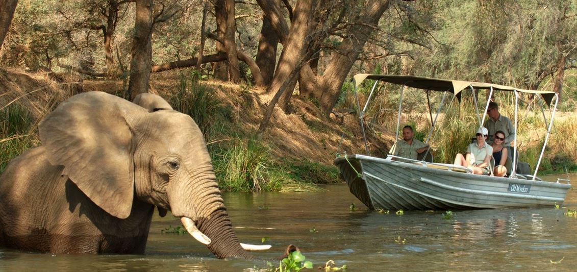 MBUGA ZA WANYAMA KUMI (10) BORA DUNIANI - SERENGETI YASHIKA NAFASI YA ...