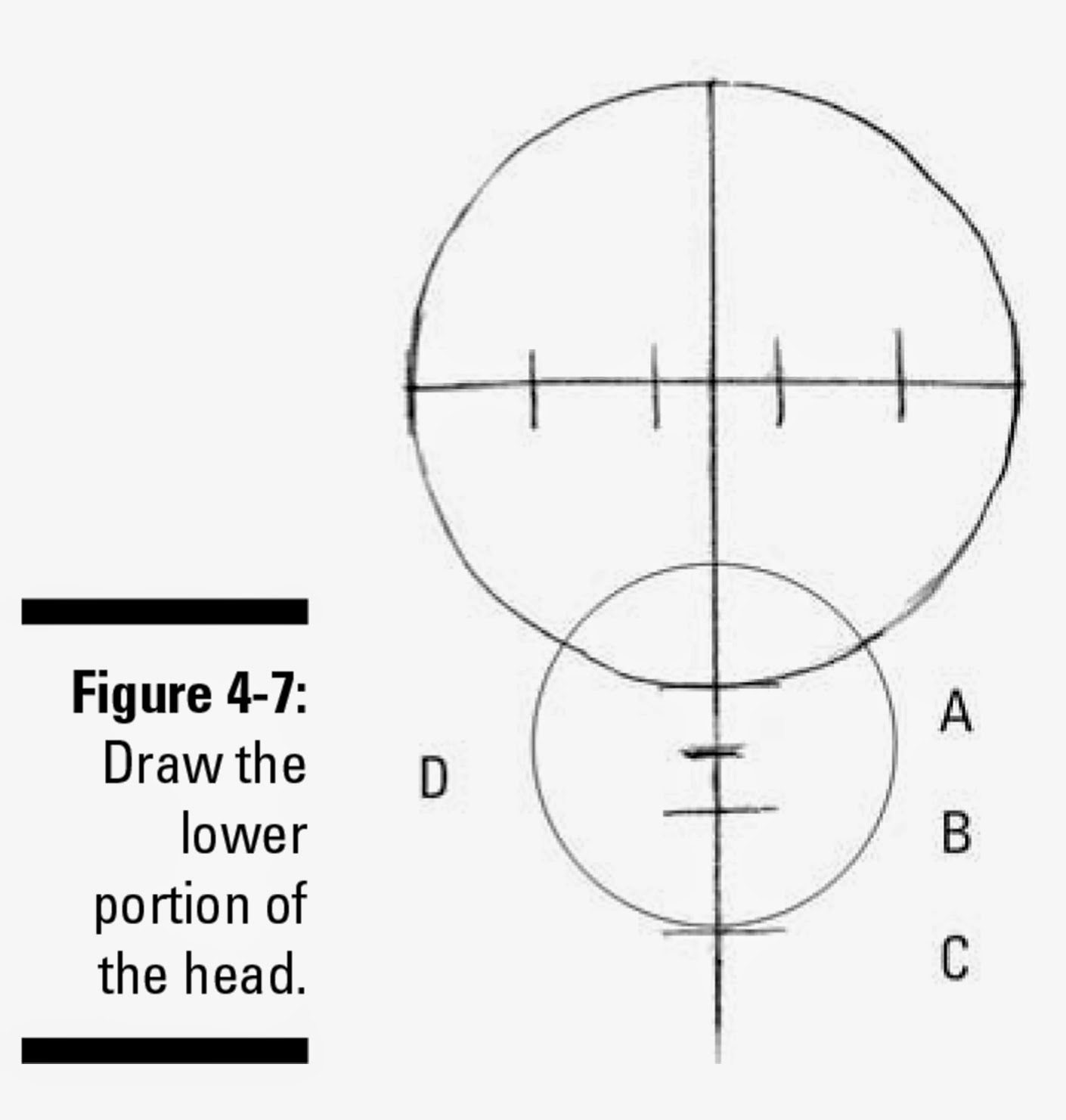 Drawings: Parts of the Head