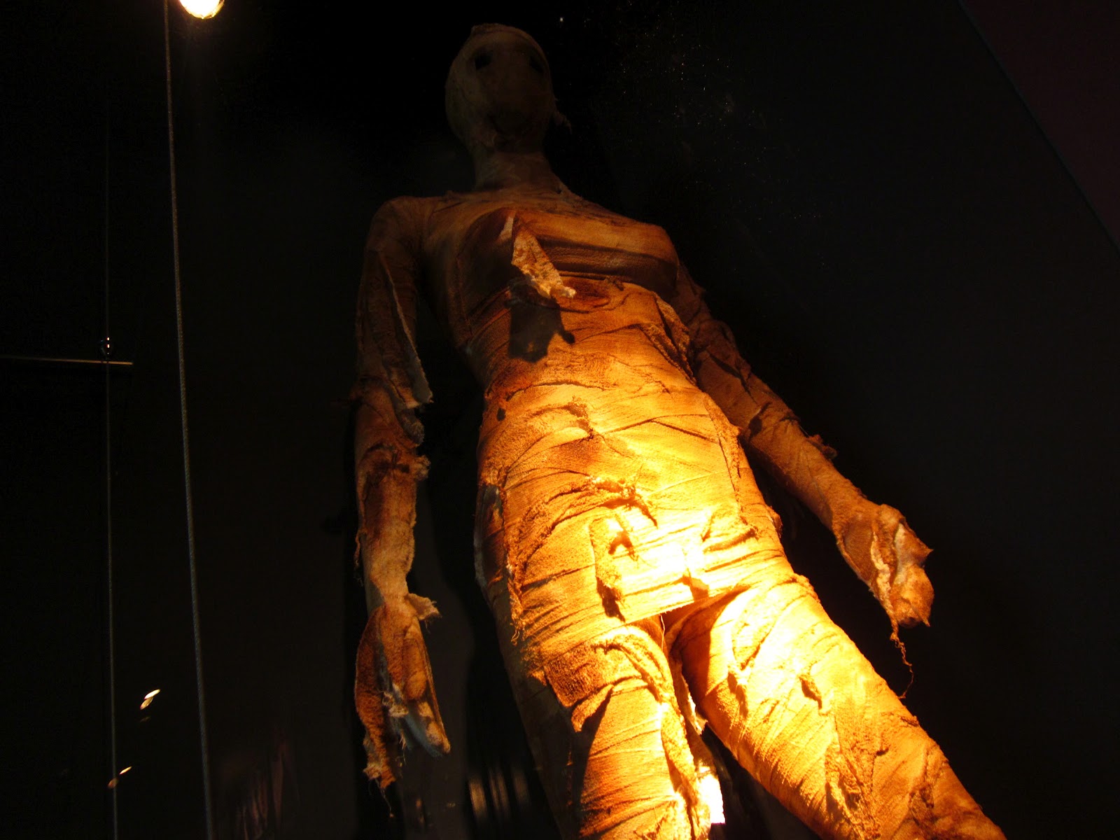 A Mummy Aboard the Titanic?