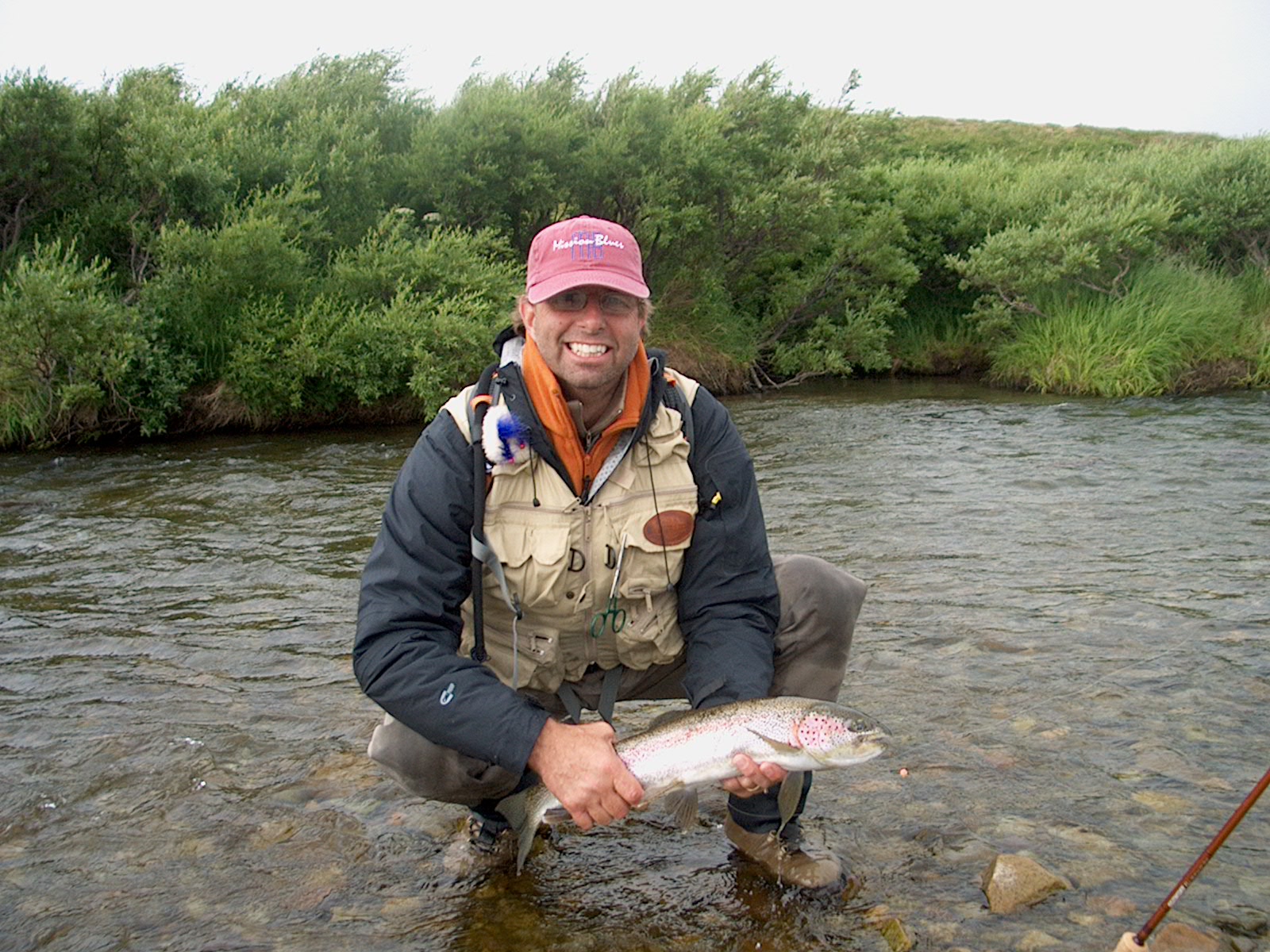 scattered joy: Where Do Fish Live?