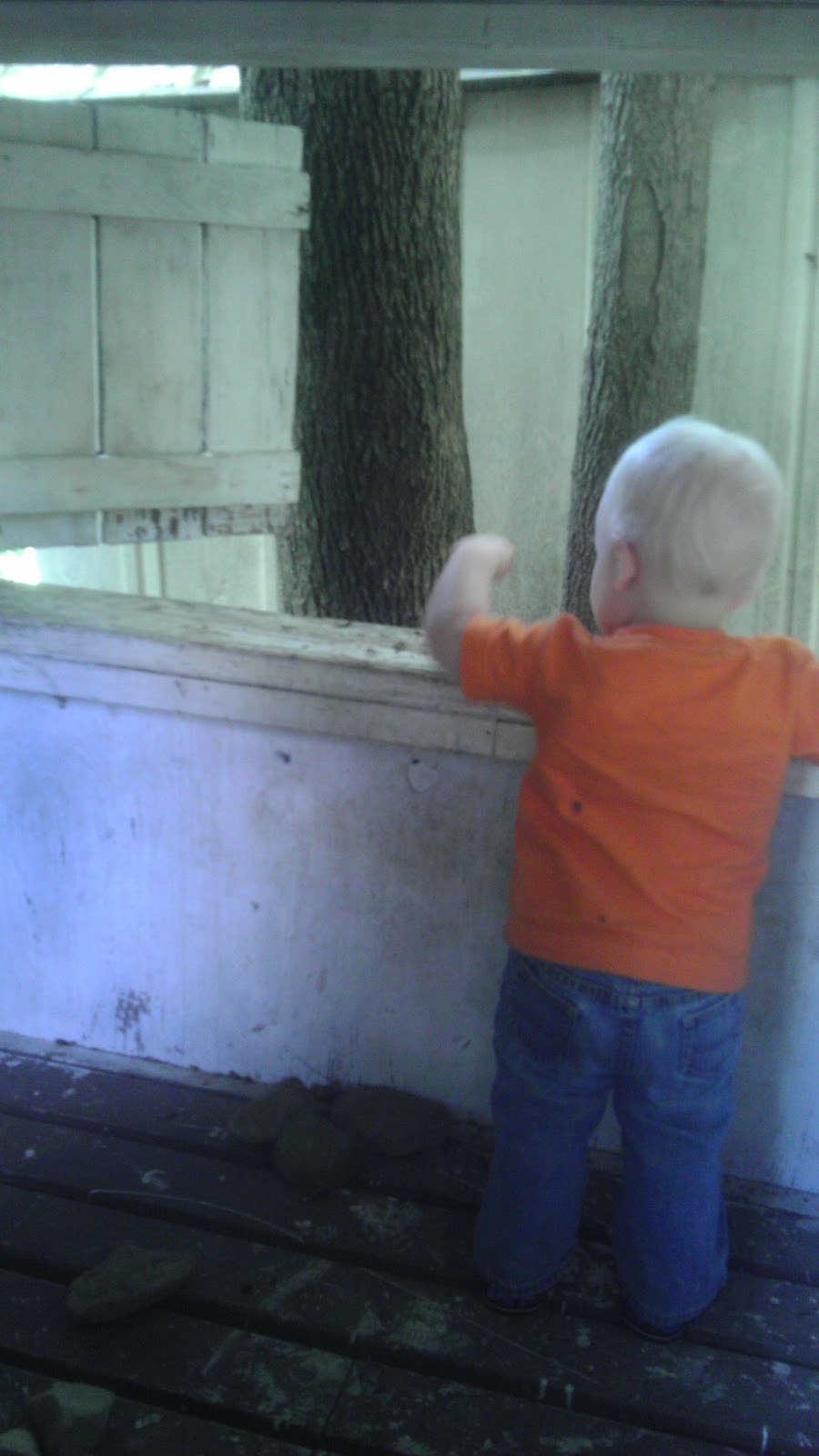 Cachey Mama's World of Learning: The Science of Doors