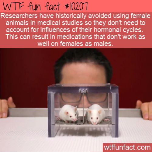 60 MIND BLOWING RANDOM WTF FUN FACTS | Amazing WTF Facts
