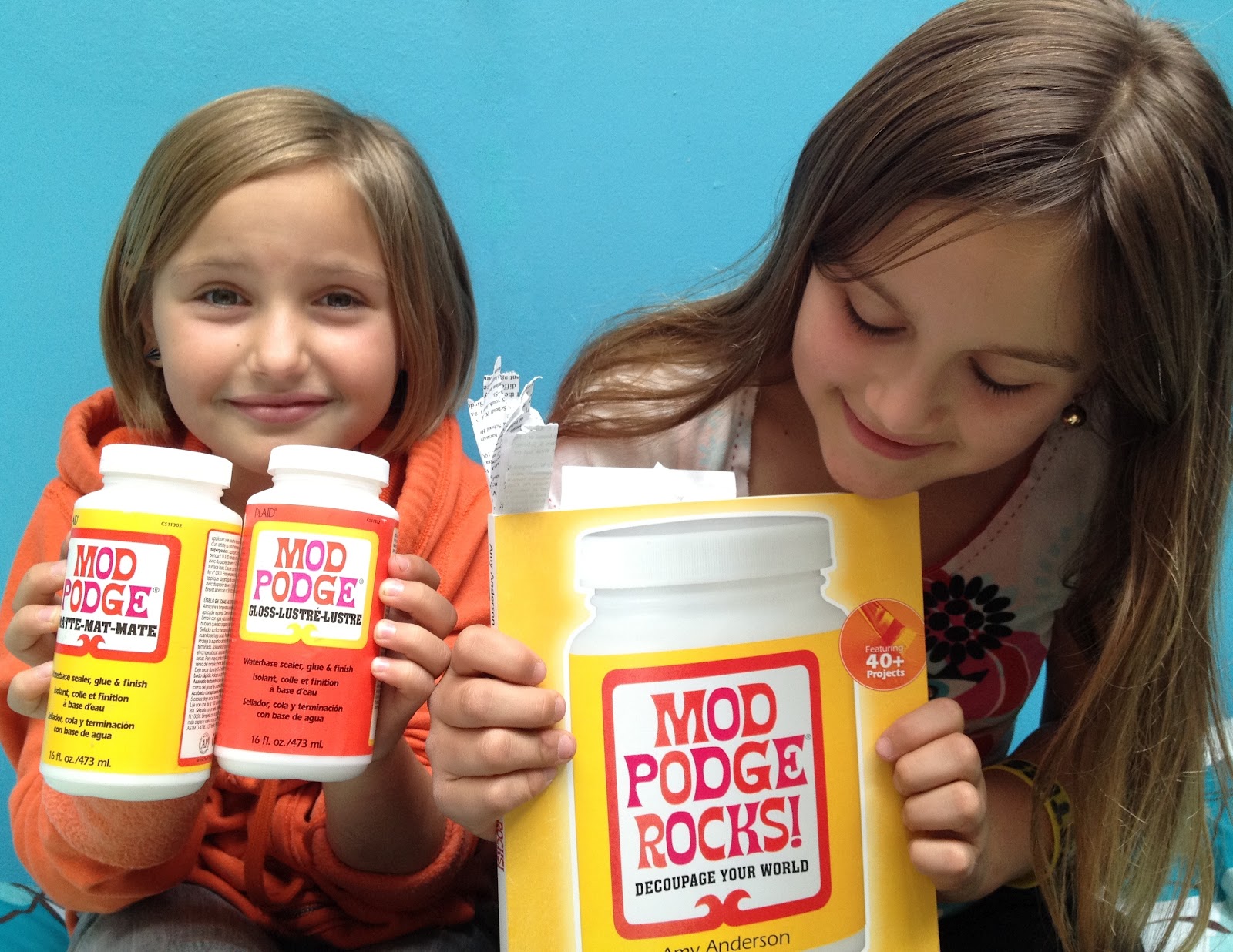 GIVEAWAY ~ Win a Copy of Mod Podge Rocks! PLUS a Loaded Mod Podge ...