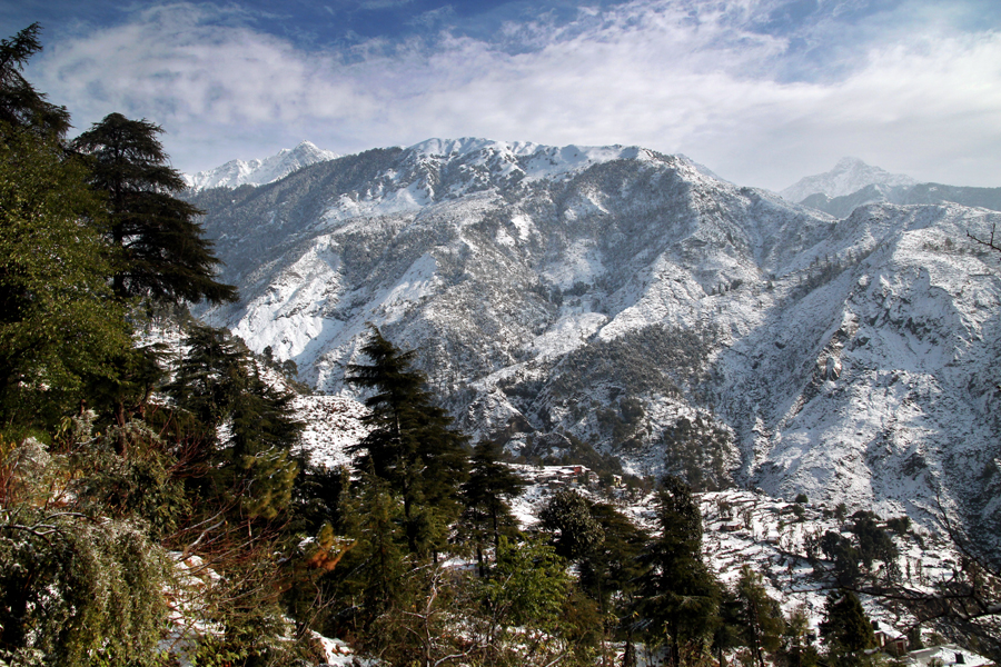 WildlifeTring: Postcard From The Himalayas