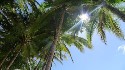 The hidden gem of South Mindanao: PROFILE OF TUKA MARINE PARK AND THE ...