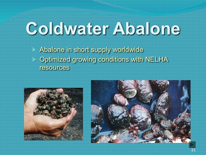 BLUE REVOLUTION HAWAII: THE PACIFIC INTERNATIONAL OCEAN STATION