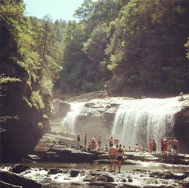 Brooke's Photography