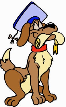 When a Dog Earn an Online MBA Degree Paying £4500 to AUOL