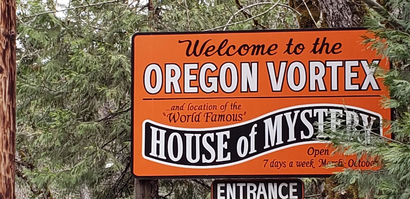 Little Fox's Blog: Bear in charge blog 6, Oregon Vortex and House of ...