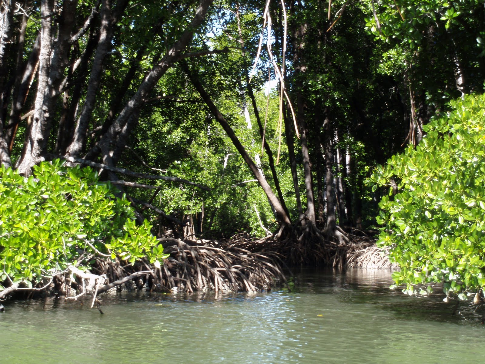 Sailing North: Port Musgrave to Weipa