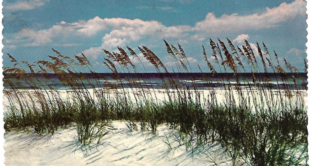 Olive Tree Genealogy Blog: Richter Ephemera from the Grant Family