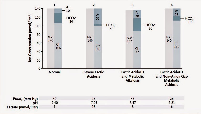 Manuali di Medicina Intensiva: Equilibrio acido/base - avanzato I ...