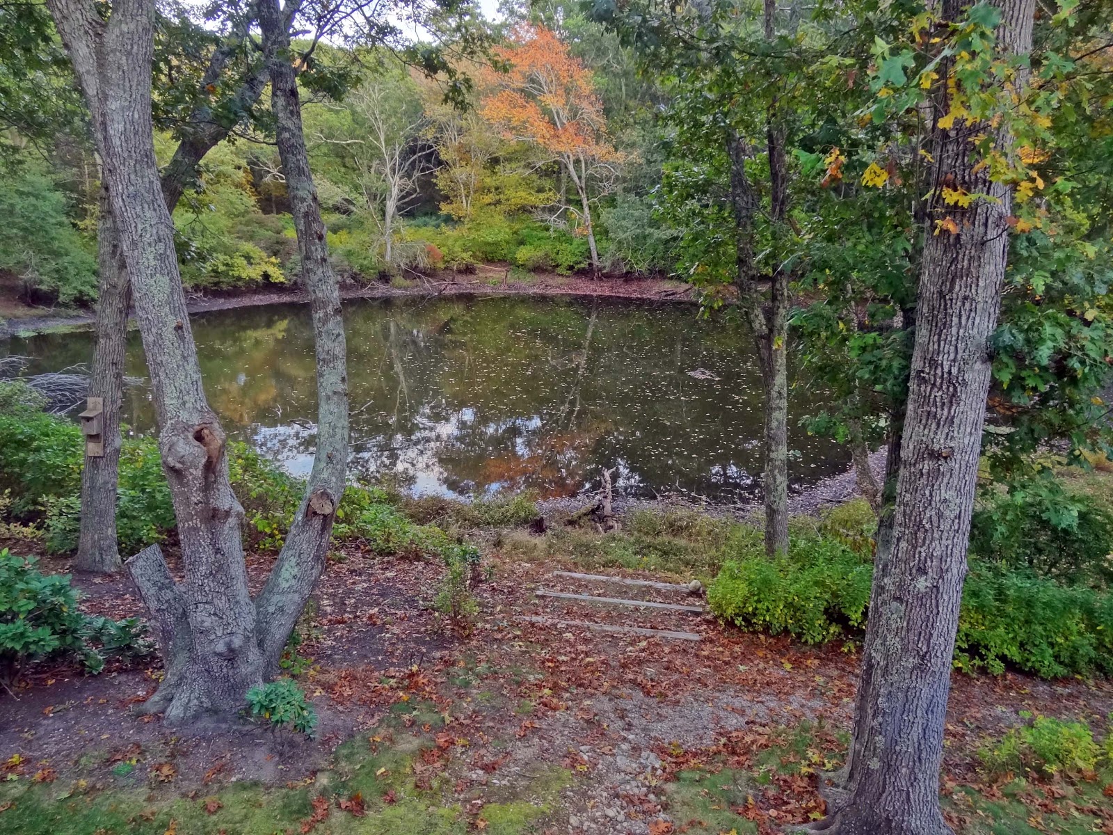 Joe's Retirement Blog: GIF, Changing Seasons, Pond View, Manomet ...