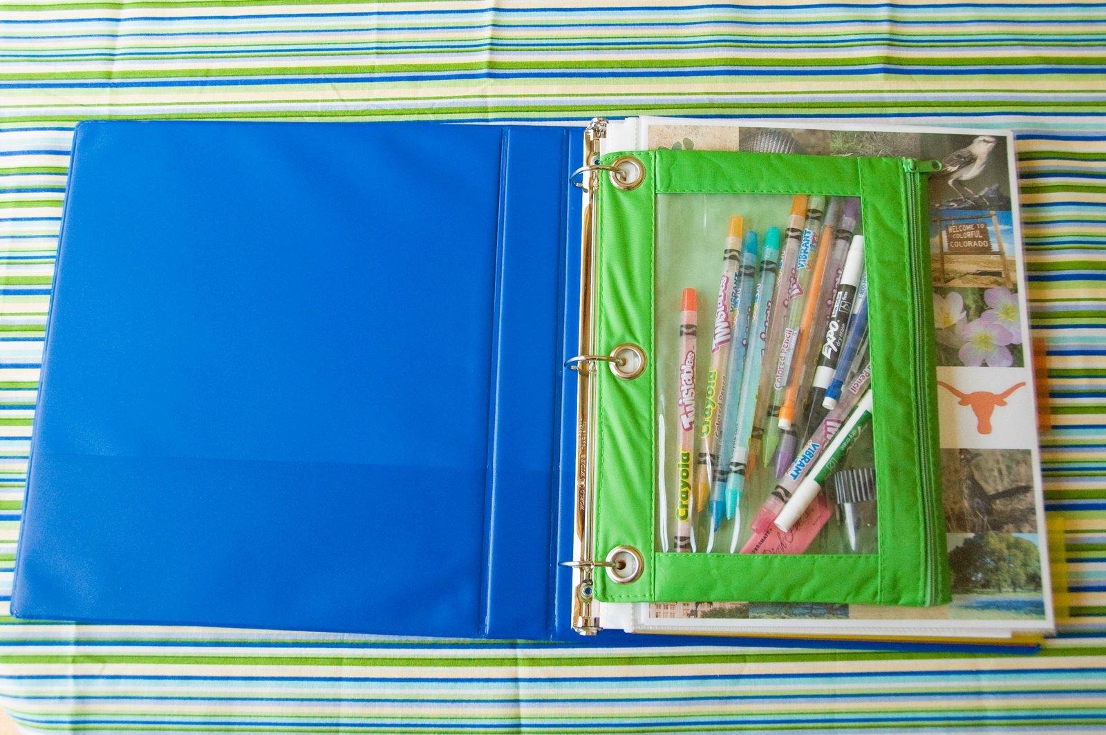 Jengerbread Creations: Trip Fun Binders