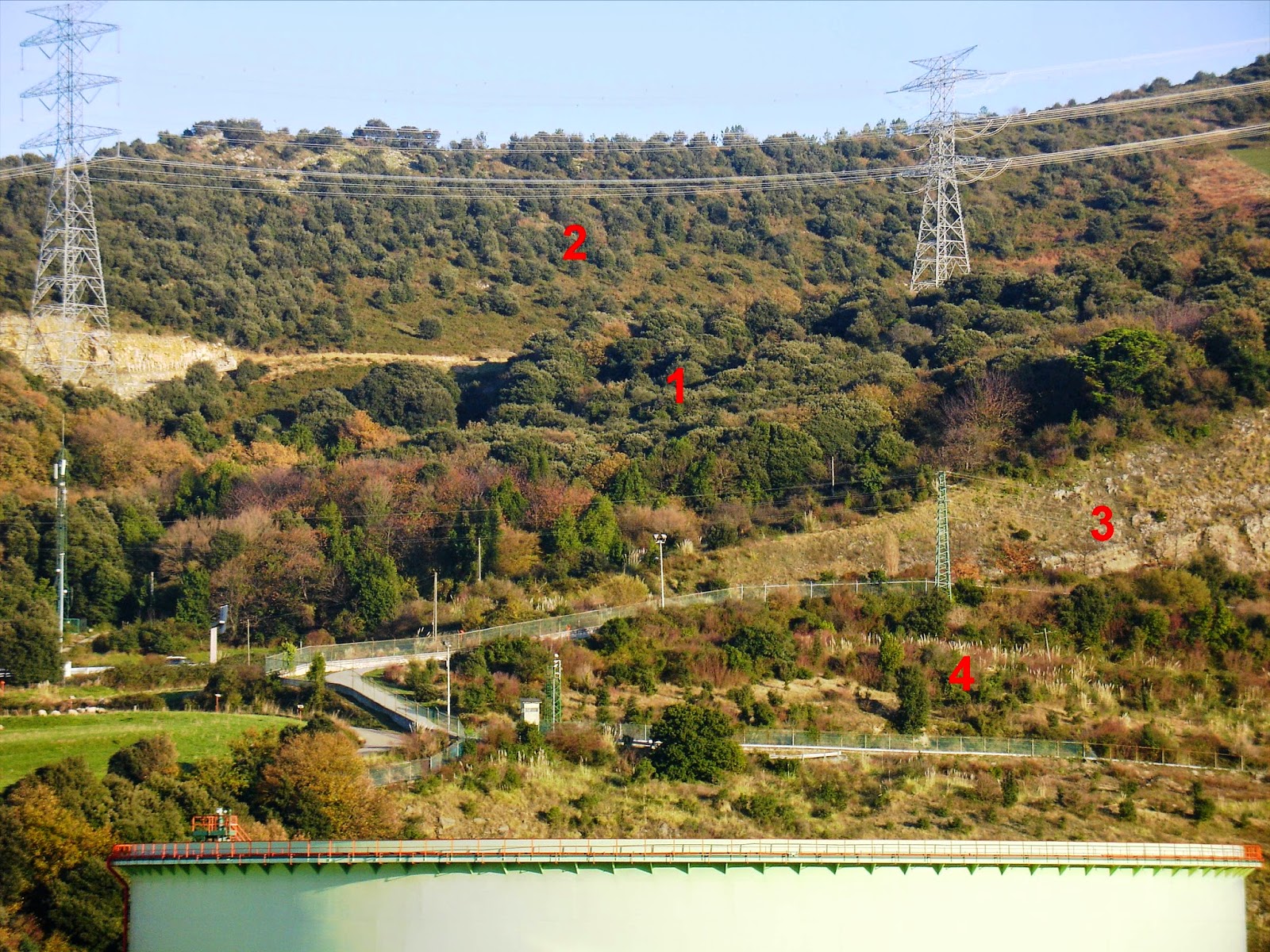 Km 130: Todas las criaturas grandes y pequeñas y el encinar cantábrico