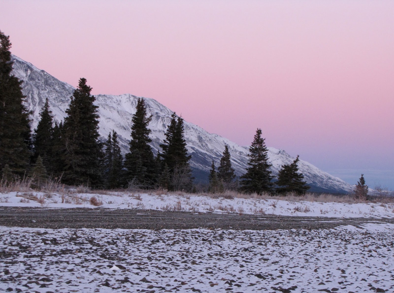 Letting in the Light: End of Fall . . . . Beginning of Winter