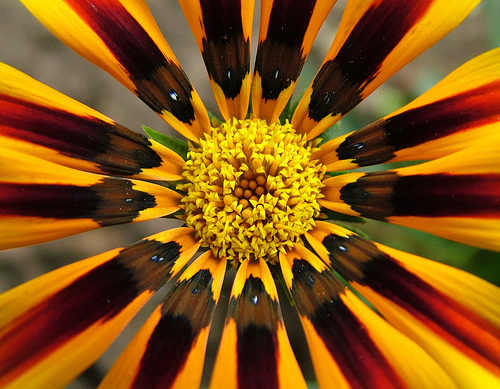 130 Justin Lawson: Radial Balance