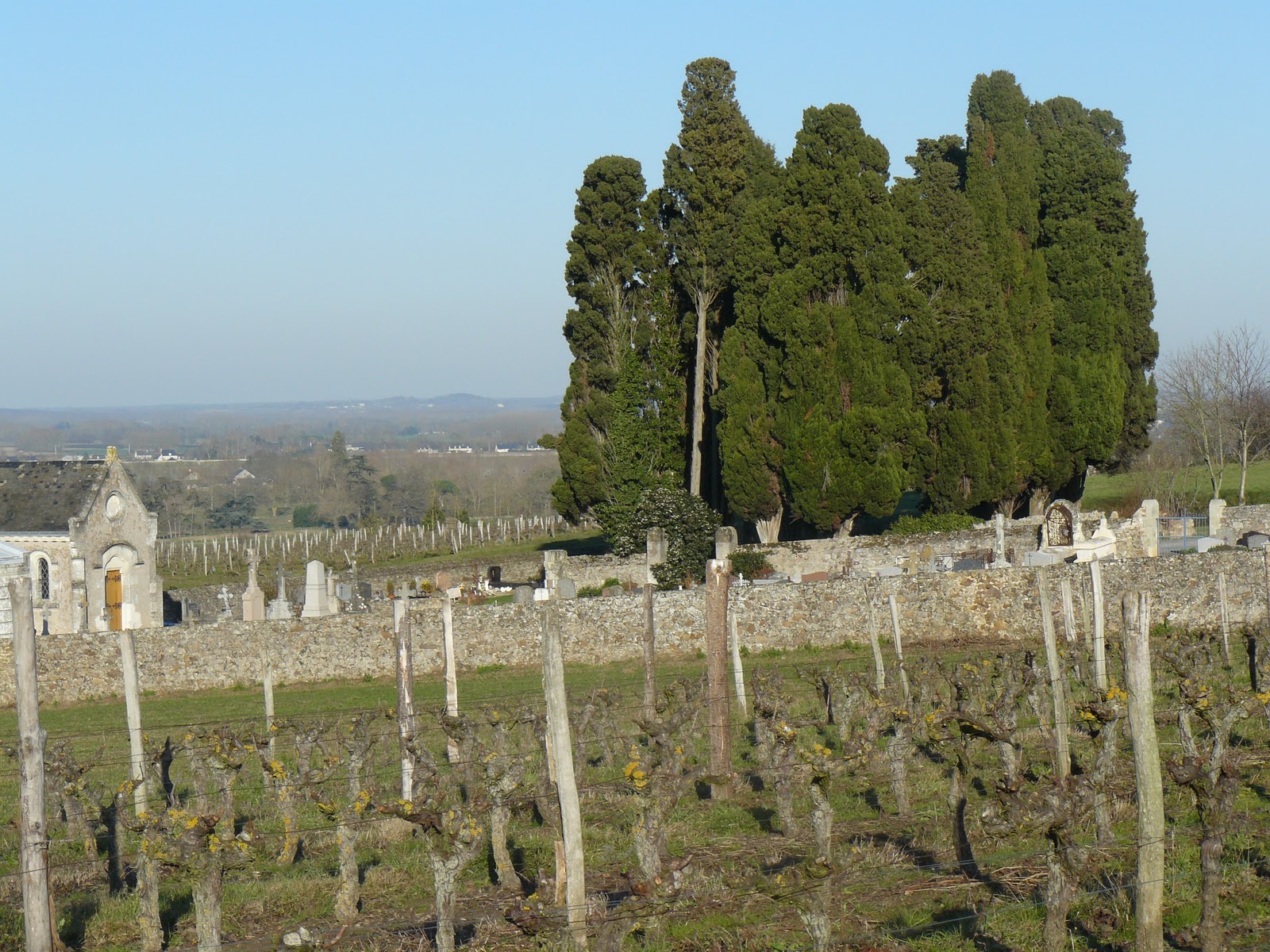 Cathy's Loire Wine Tours: A Winter Walk around Blaison Gohier