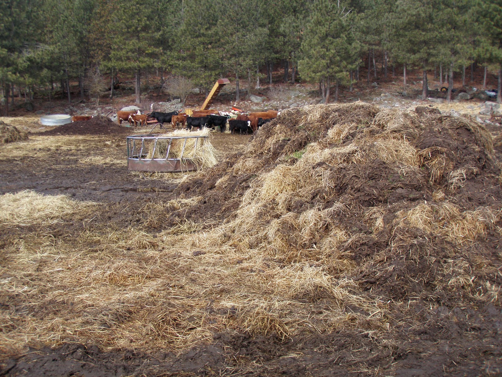From The Ground Up: Livestock and Land versus Mud and Manure