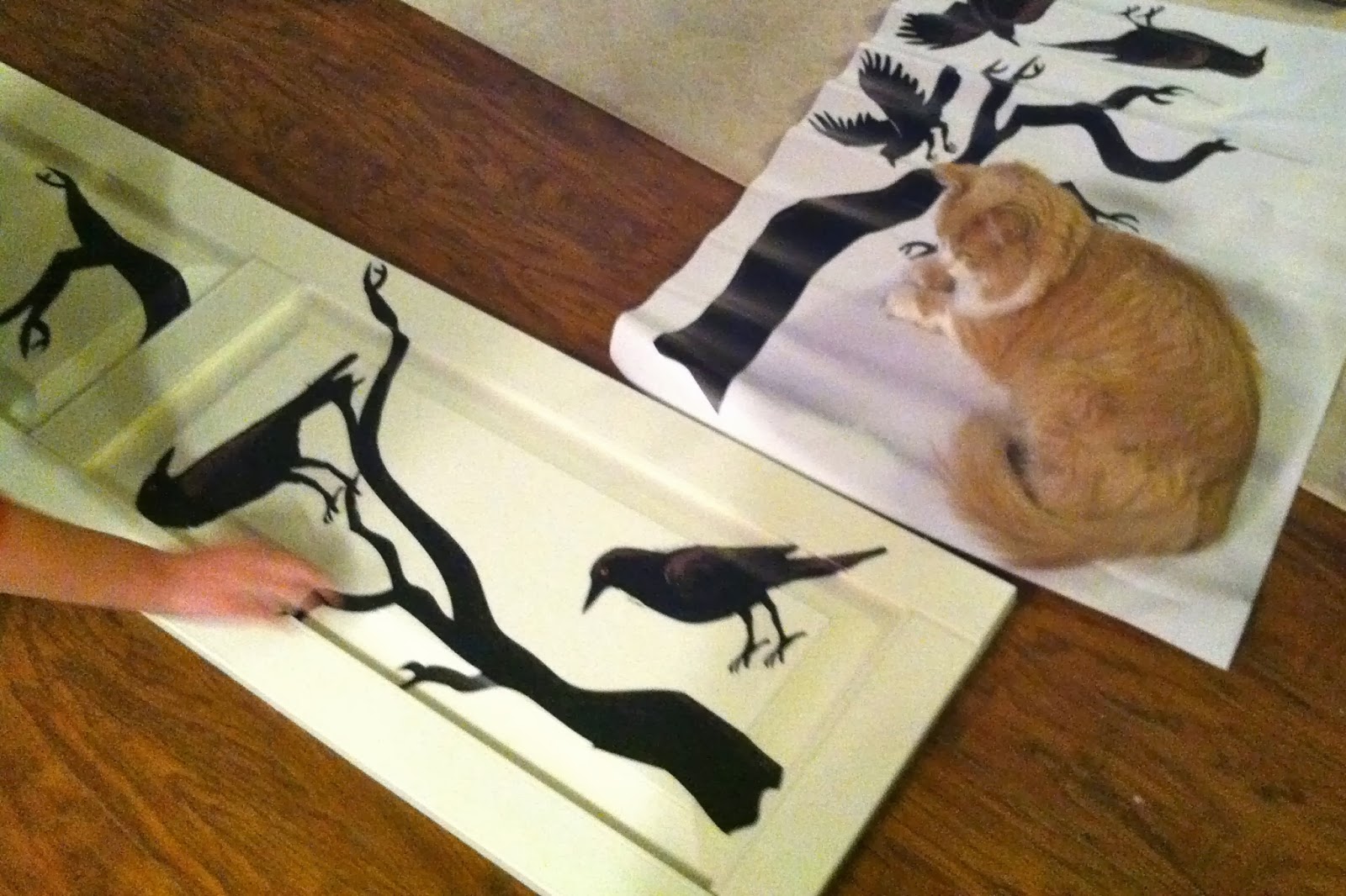 DIY Why Spend More: Vinyl decals on shutter