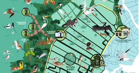 Green Humour: Mai Po Nature Reserve- an Illustrated Map
