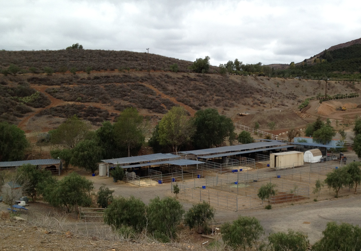 Eventing in Color: Blog Hop: Share Your Barn