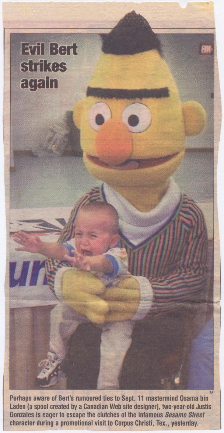 THE ANGRY DAILY BLOG: PIC OF THE DAY- EVIL BERT