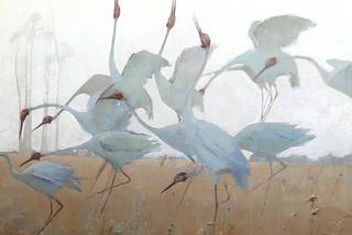 Red Cardinal: THE BROLGAS