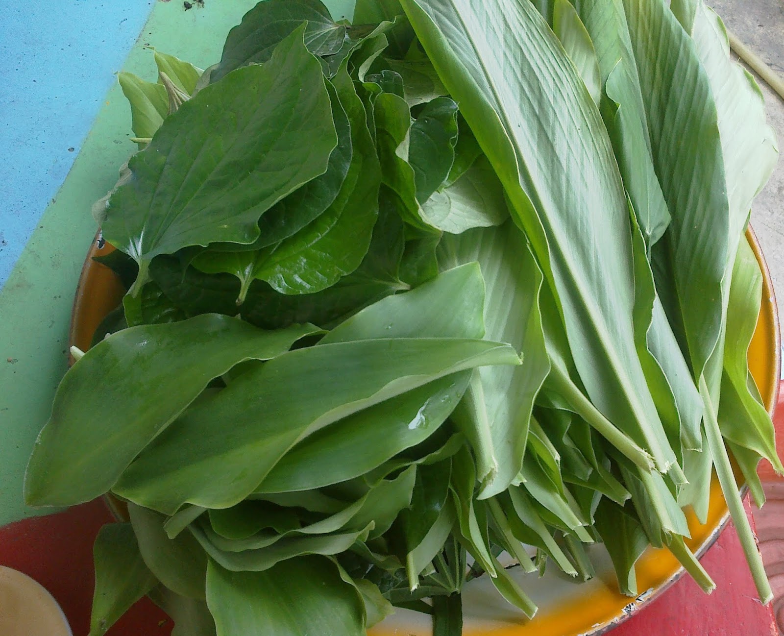 cik azz: Sambal daun kayu: Ilmu baharu.