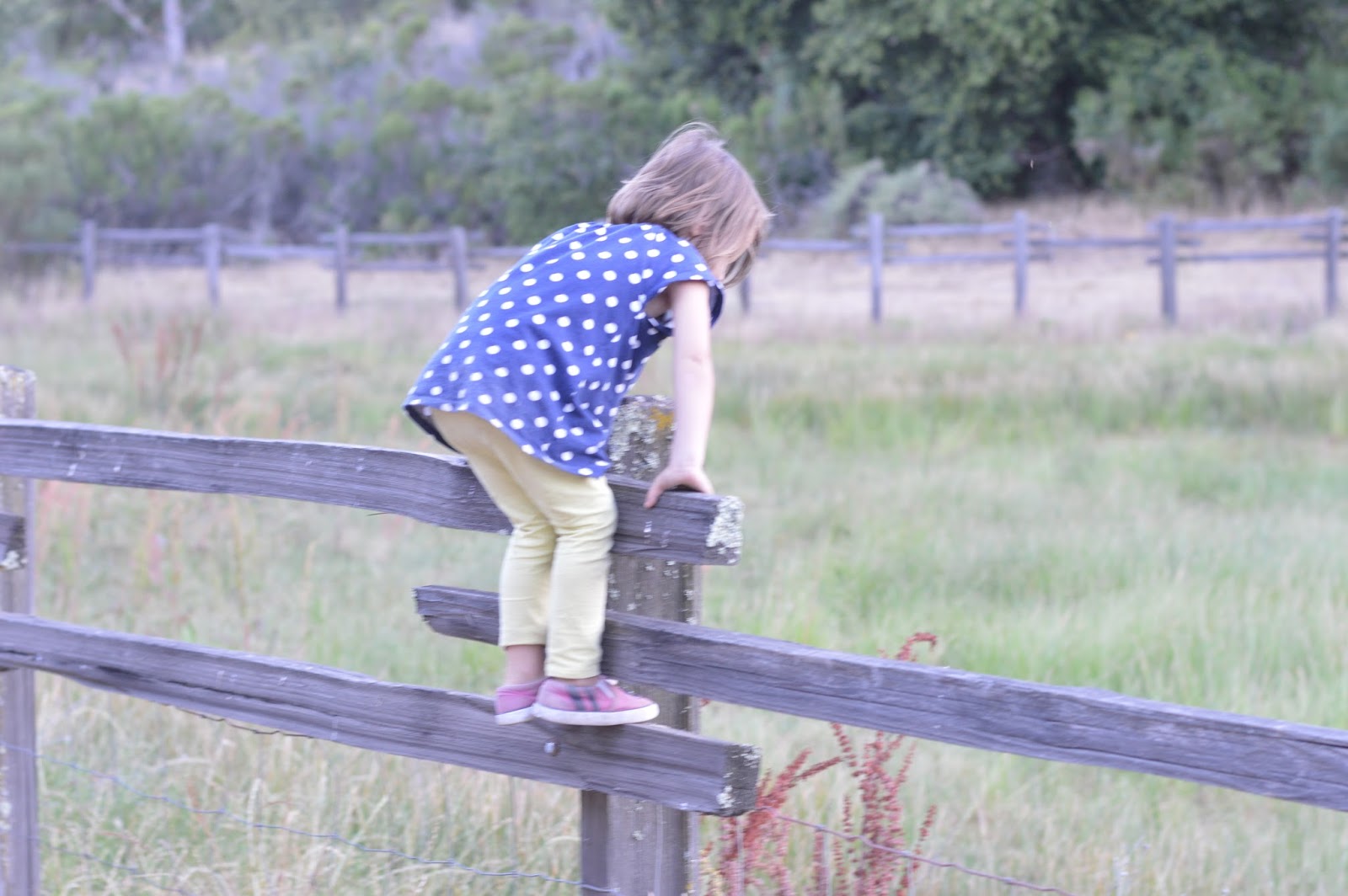 Musings on the Simple Life: Camp Out