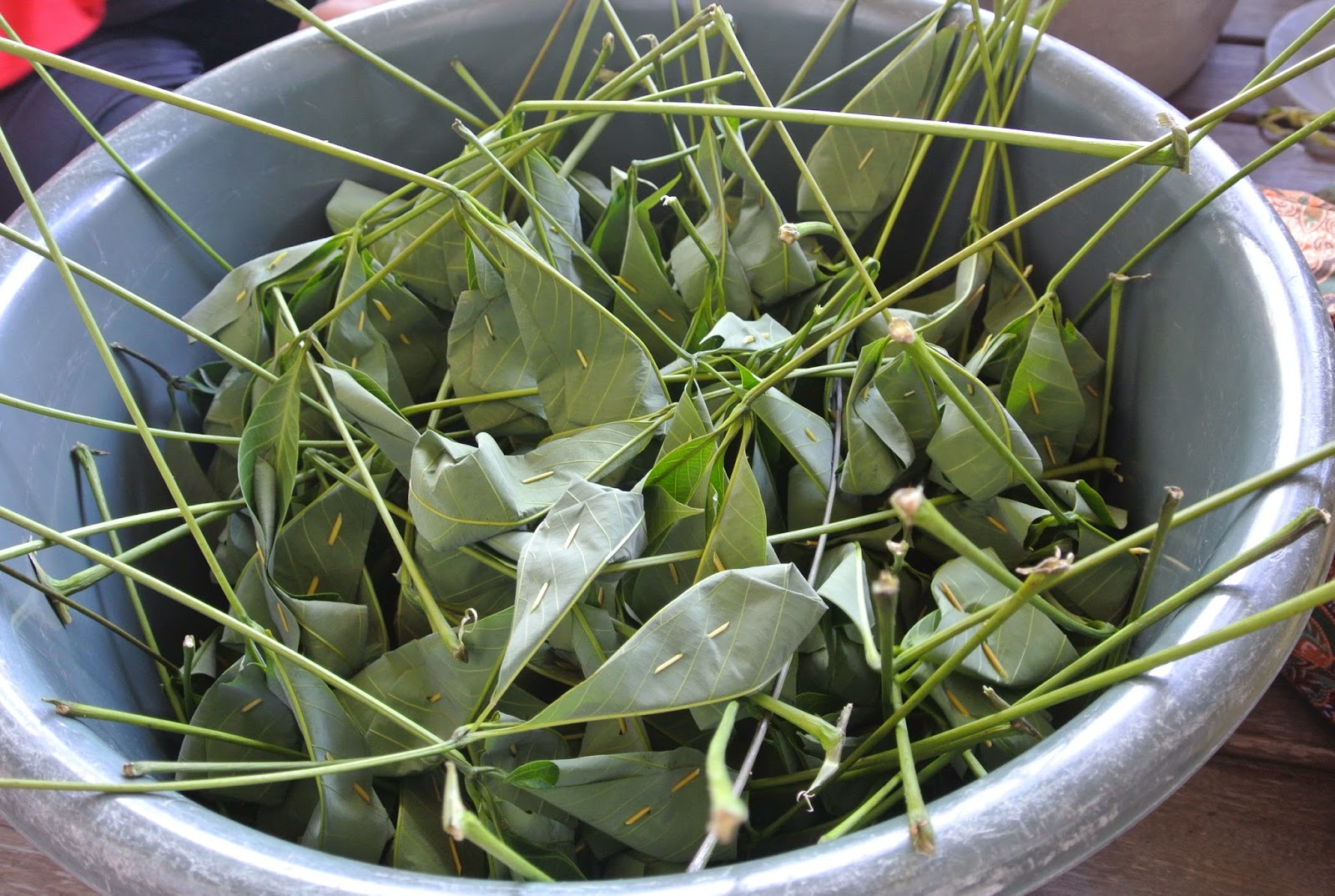 SENI JARI IKHLAS: Resepi Tapai Pulut Daun Getah Ayoh Chik Mat