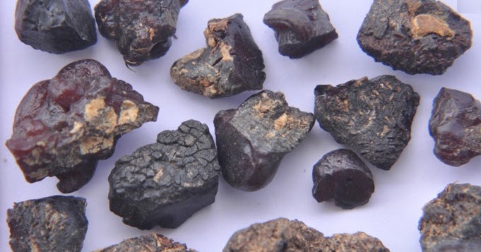 Online Ayurvedic Herbs Supplier: Mochras Herb