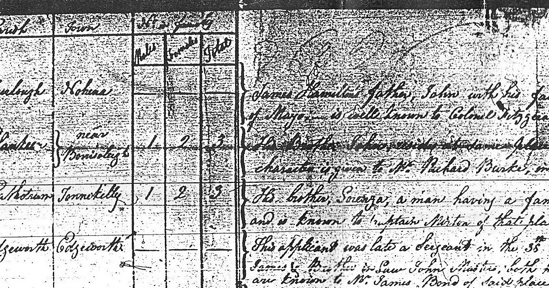 Townland of Origin: A Holy Grail: The McCabe List