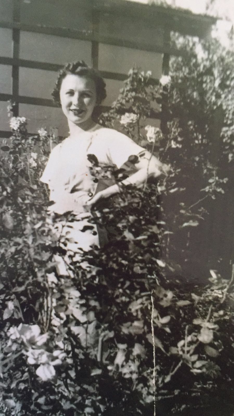 My Beautiful Mother - Estelle Joan Lach Lewis - Lewis Family Heritage