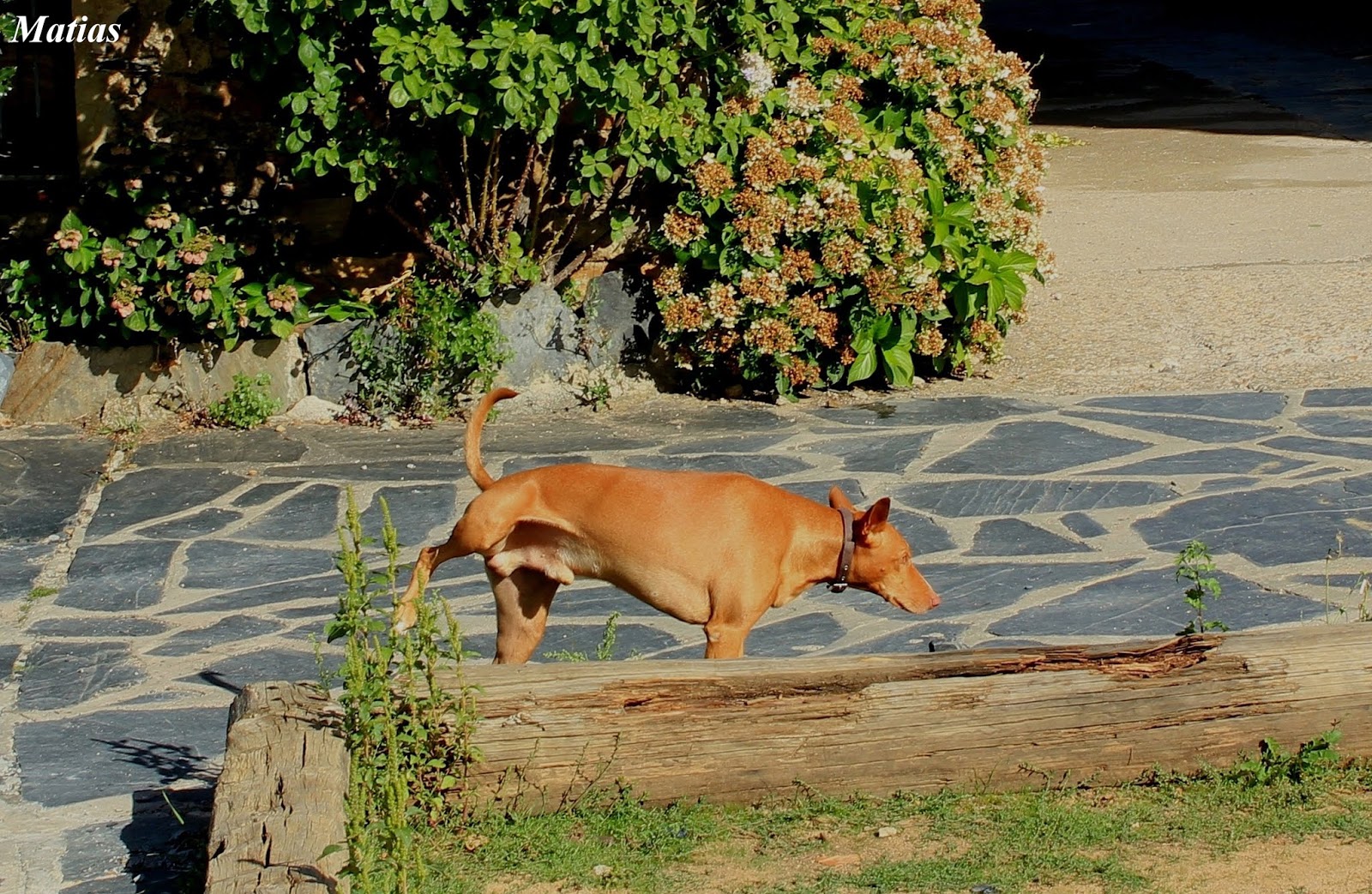 Reflexiones entre luces: febrero 2019