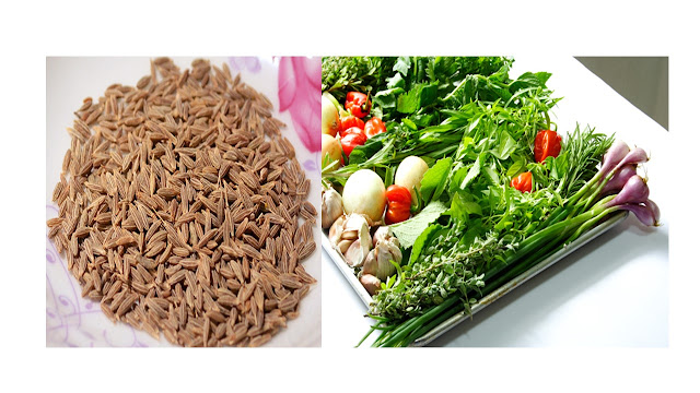 Trini Street Kitchen: Geera horse you say??