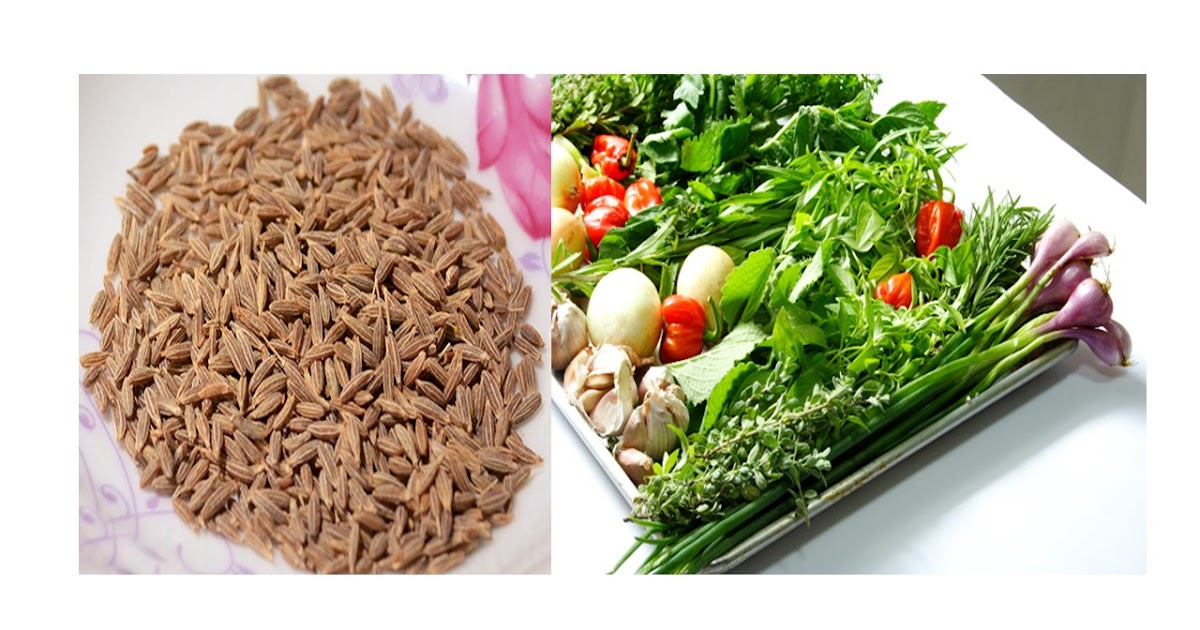 Trini Street Kitchen: Geera horse you say??