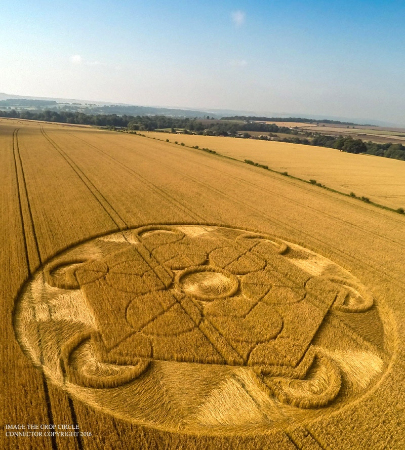 Augureye Express: 2016 Crop Circle Gallery